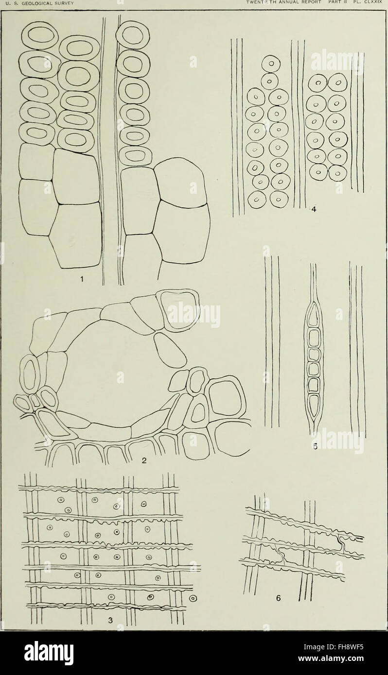 An official report from the United States Geological Survey to the ...