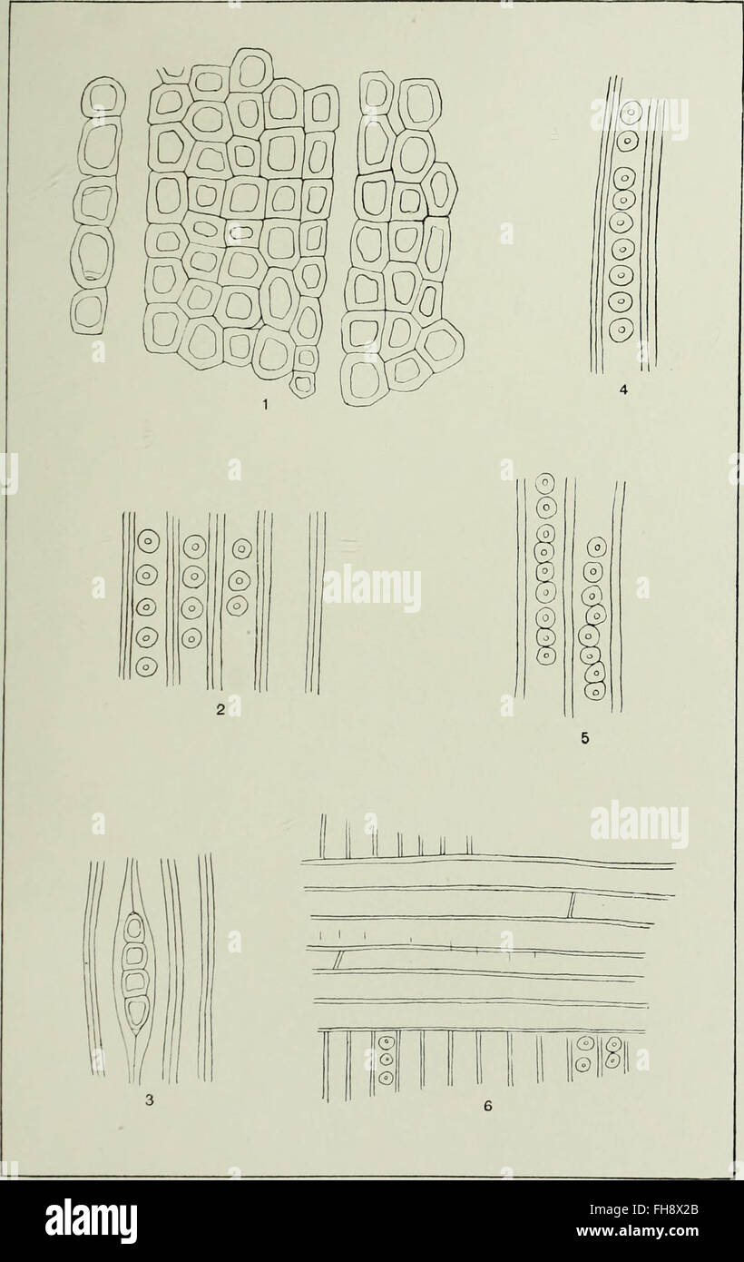 The 1898 annual report from the United States Geological Survey ...