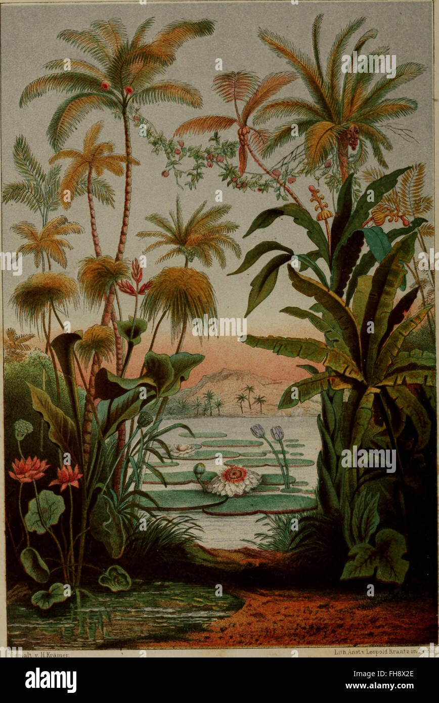 A popular representation of plant geography, aimed at educated nature ...