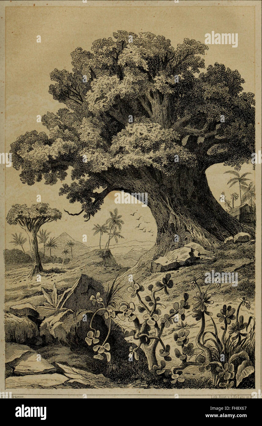 A popular presentation of plant geography, explaining the global ...