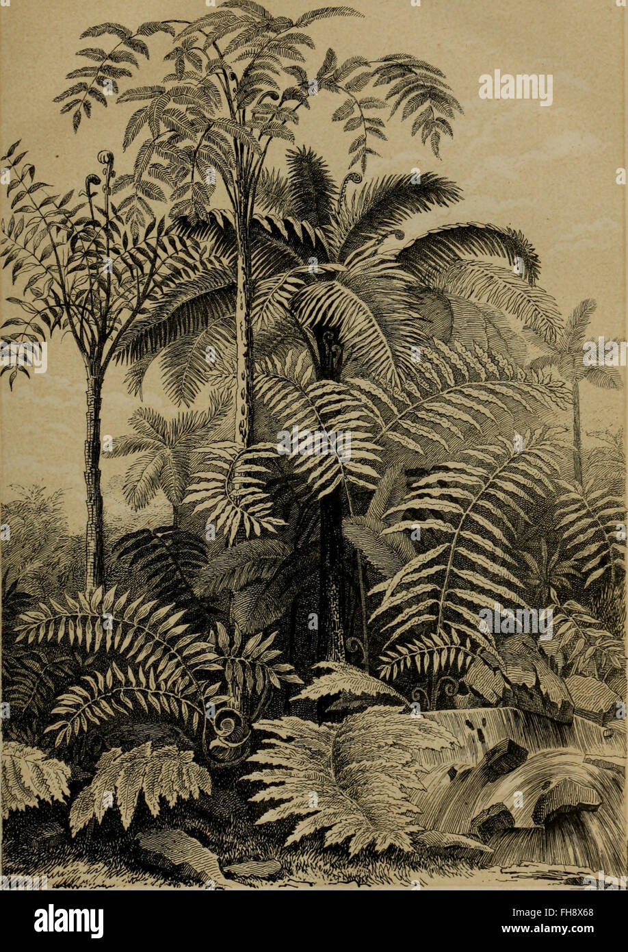 A popular work from 1859 that presents the geography of plants around ...