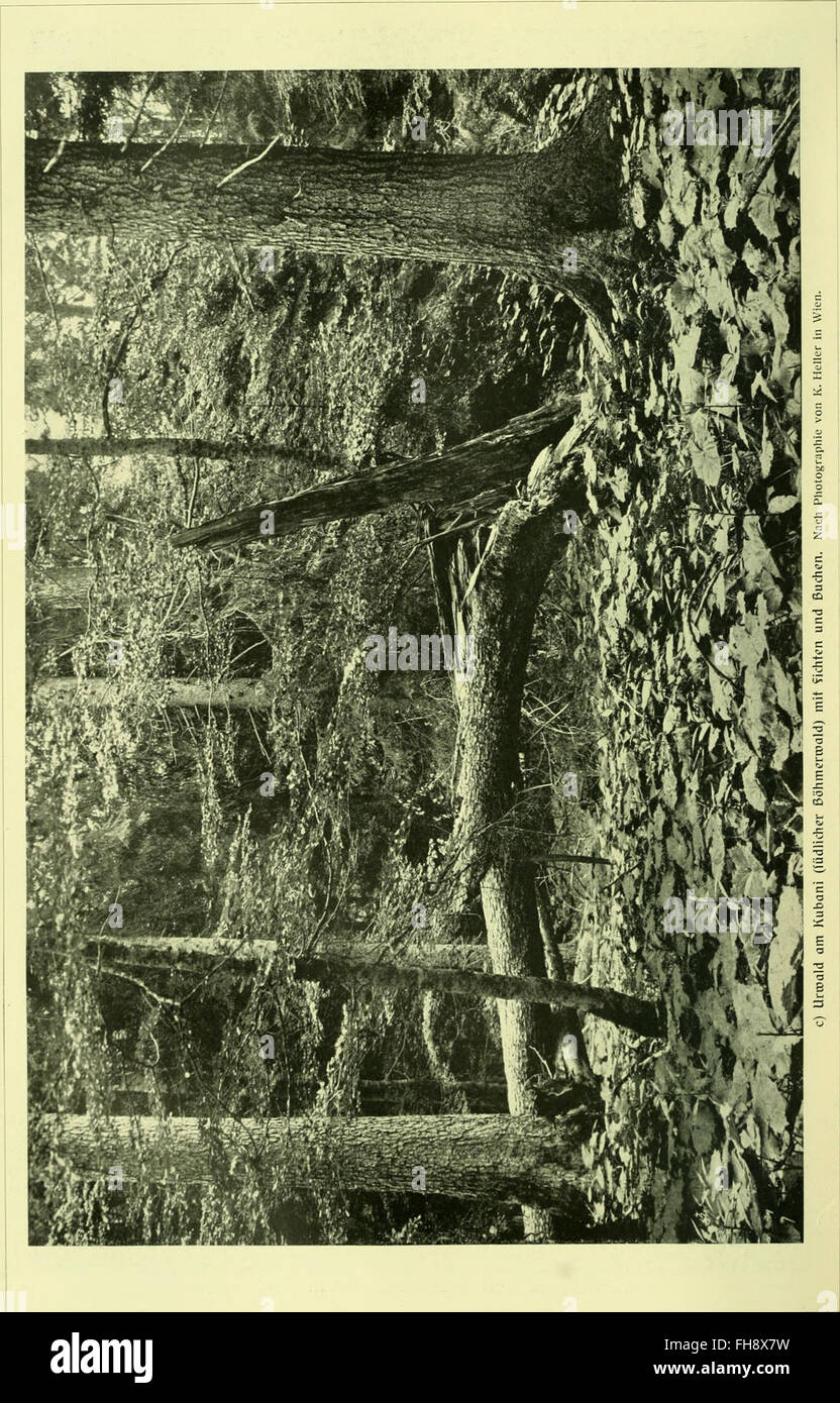 A multi-volume work on the plant world, covering a wide range of plant ...