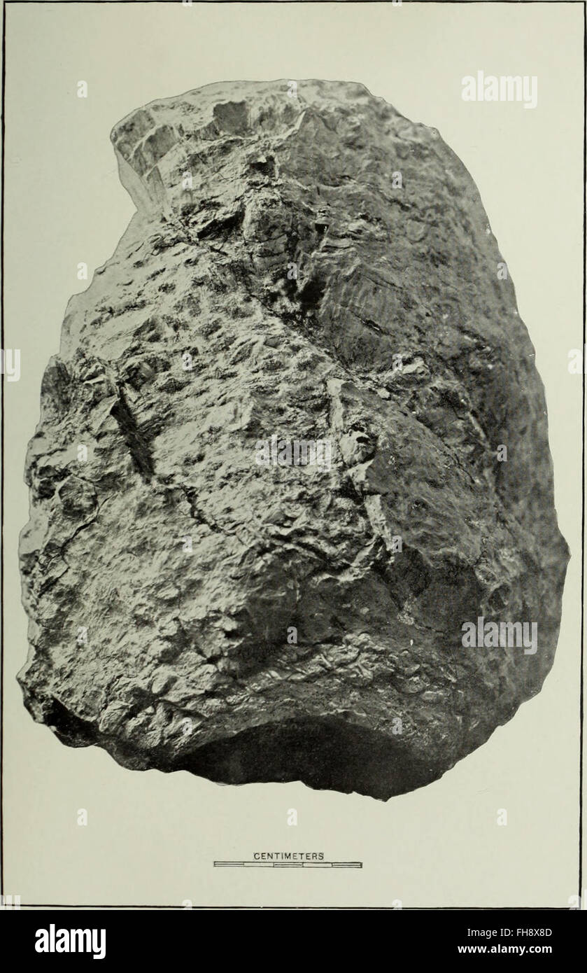 A detailed report from the U.S. Geological Survey providing an annual ...