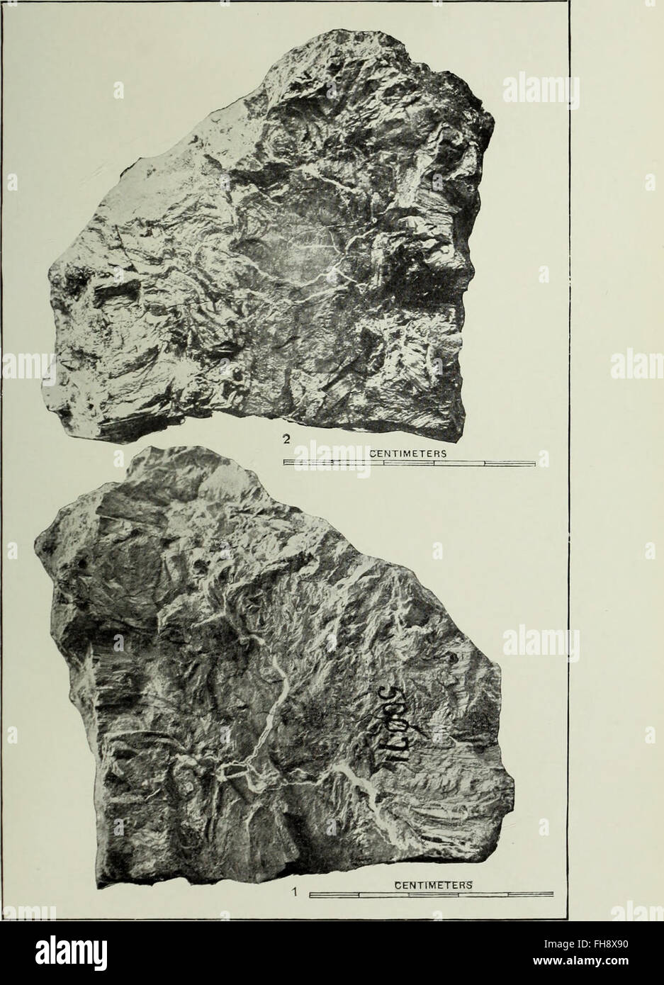 A detailed annual report by the United States Geological Survey (USGS ...