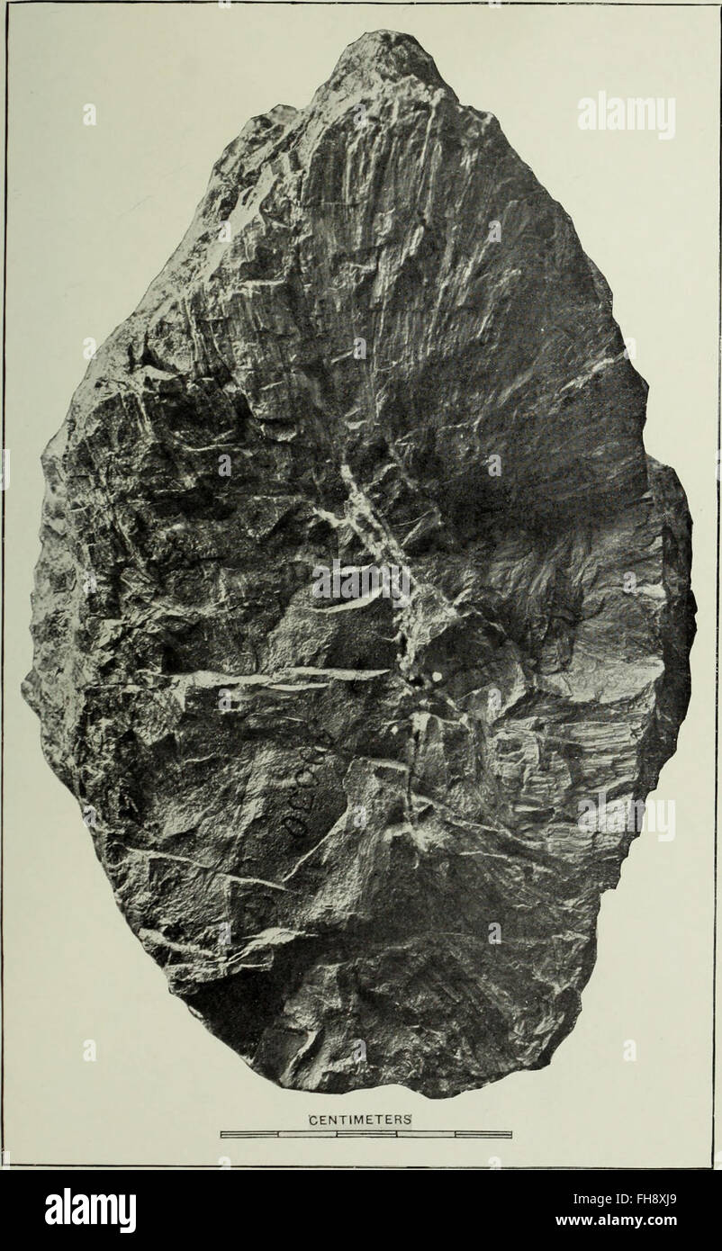 An official report from the United States Geological Survey in 1898 ...