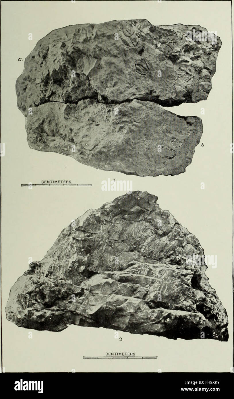 An official report from the United States Geological Survey, providing ...