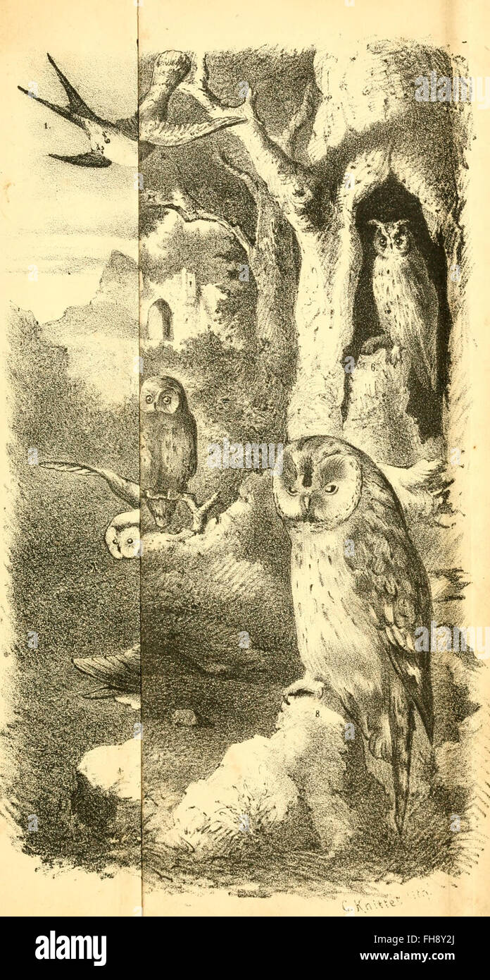 A comprehensive guide to the practice of natural history, covering the ...