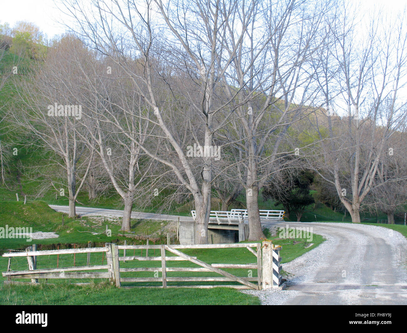 A country road and small bridge with deciduous trees and a wooden fence ...