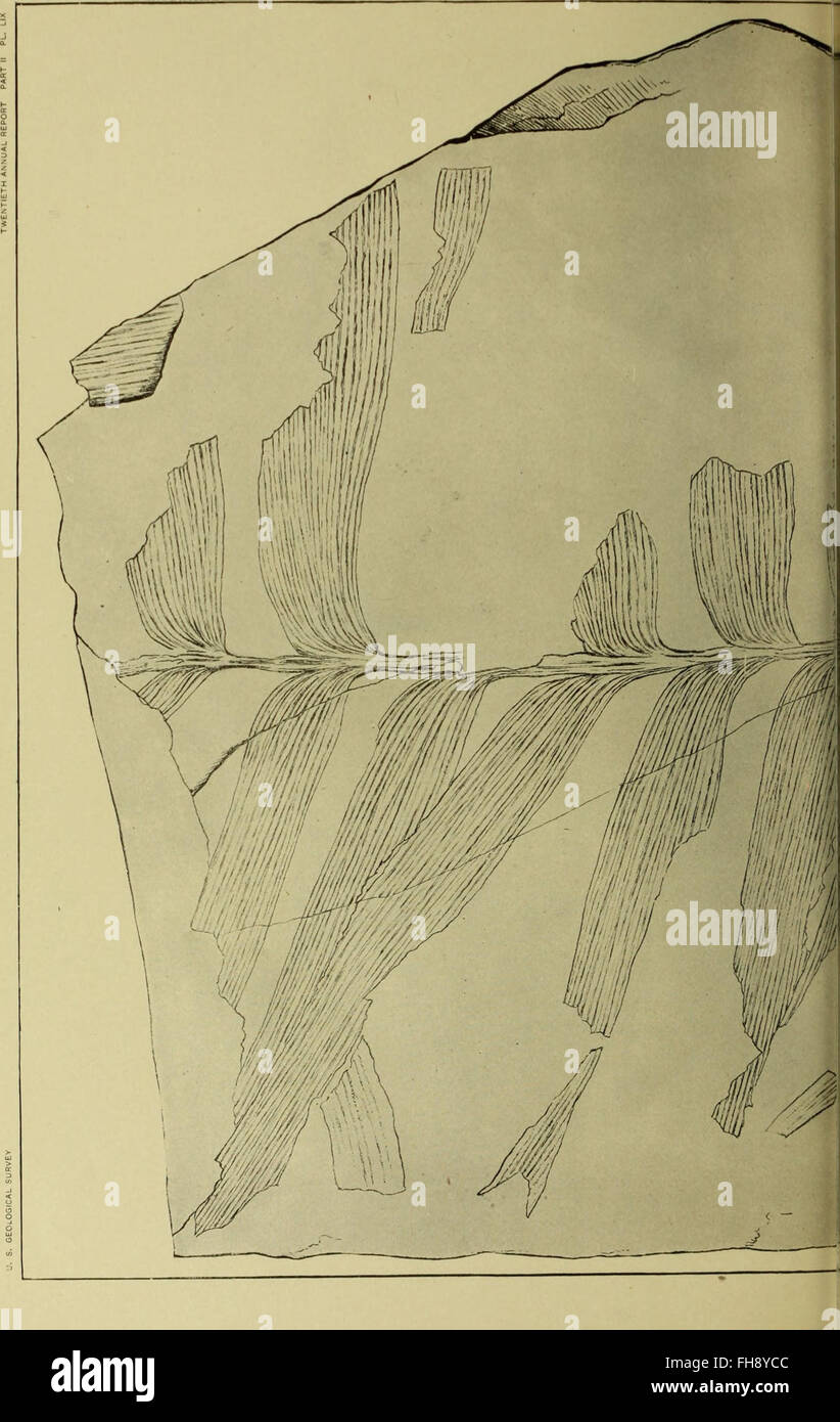 The 1898 annual report of the U.S. Geological Survey, highlighting ...