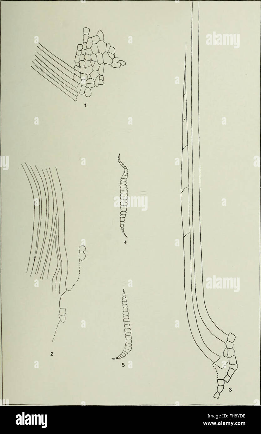 An official report from 1898 by the United States Geological Survey ...