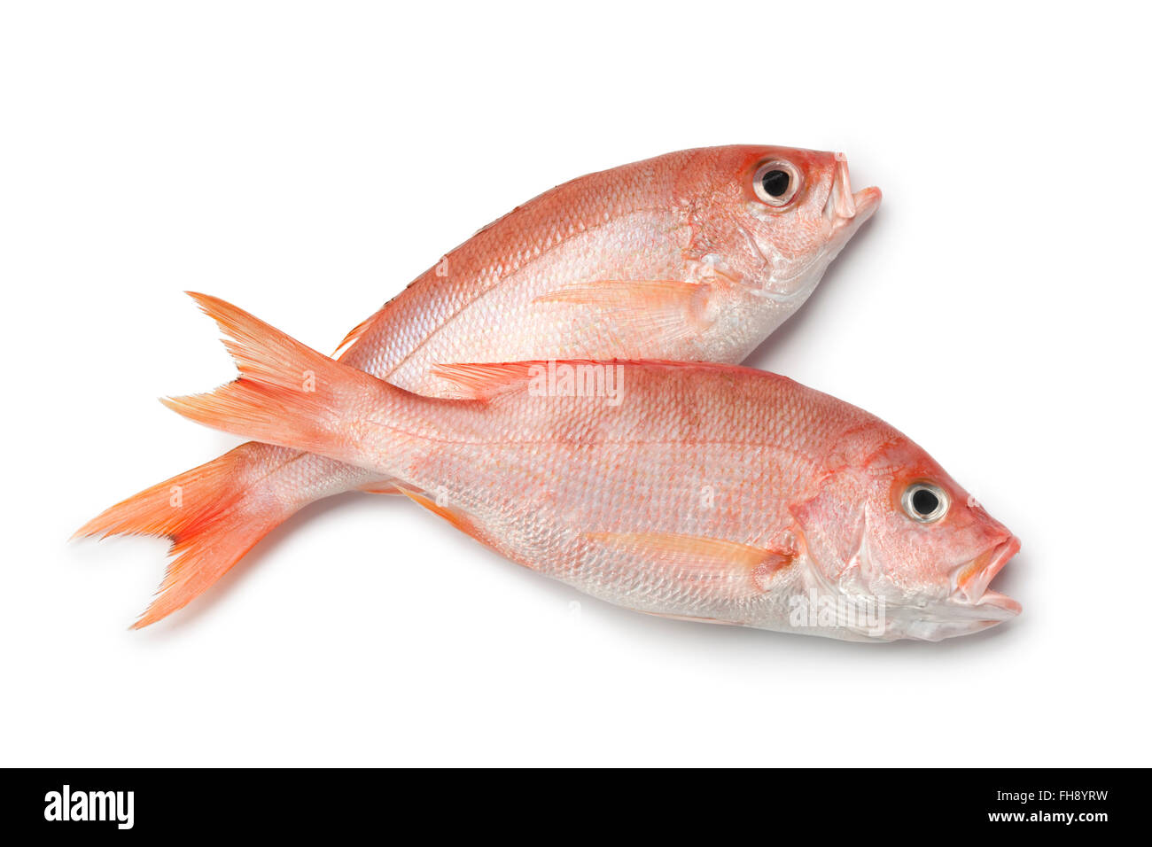 School or red snappers Cut Out Stock Images & Pictures - Alamy