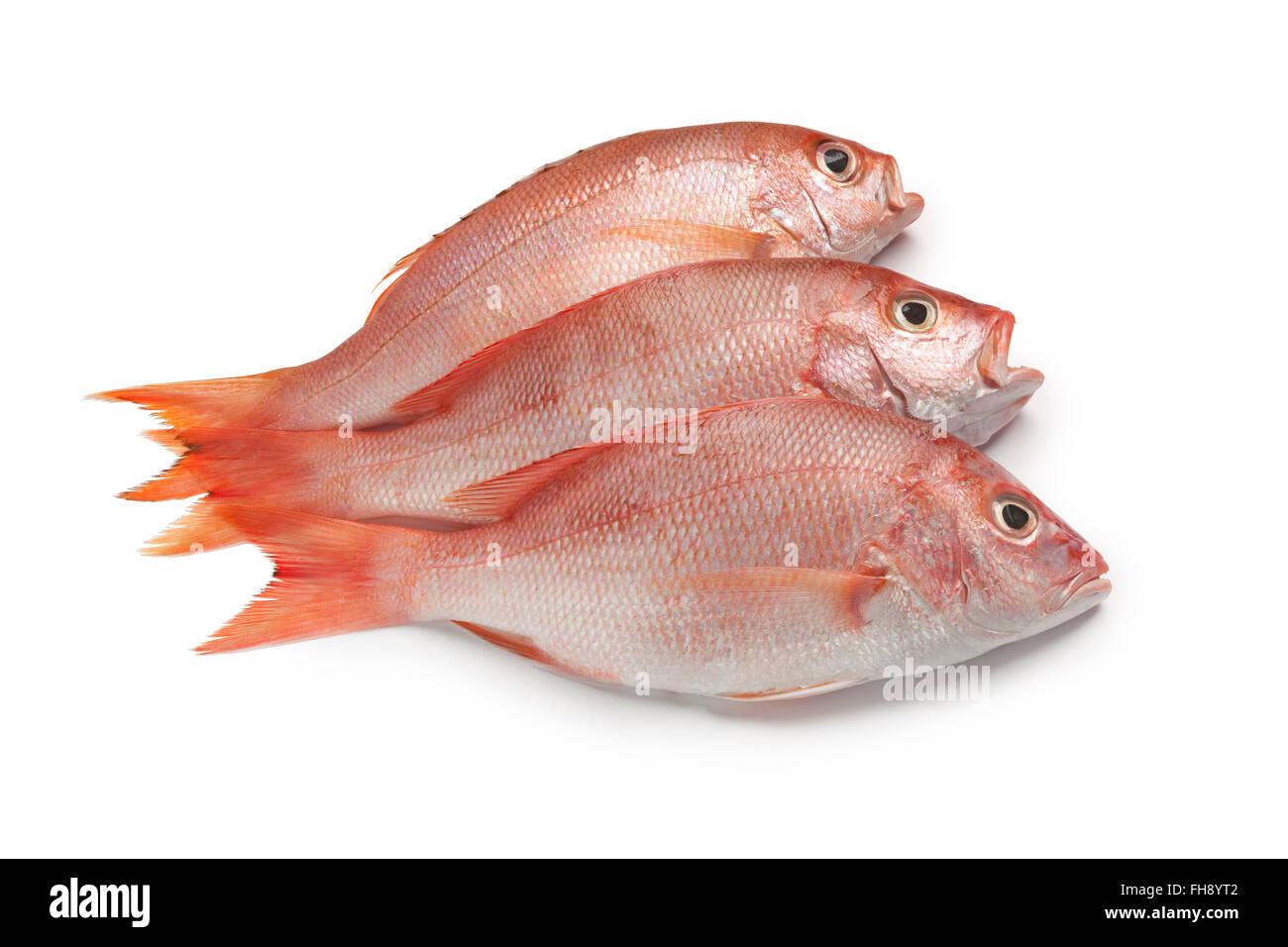 Fresh raw red snappers on white background Stock Photo - Alamy