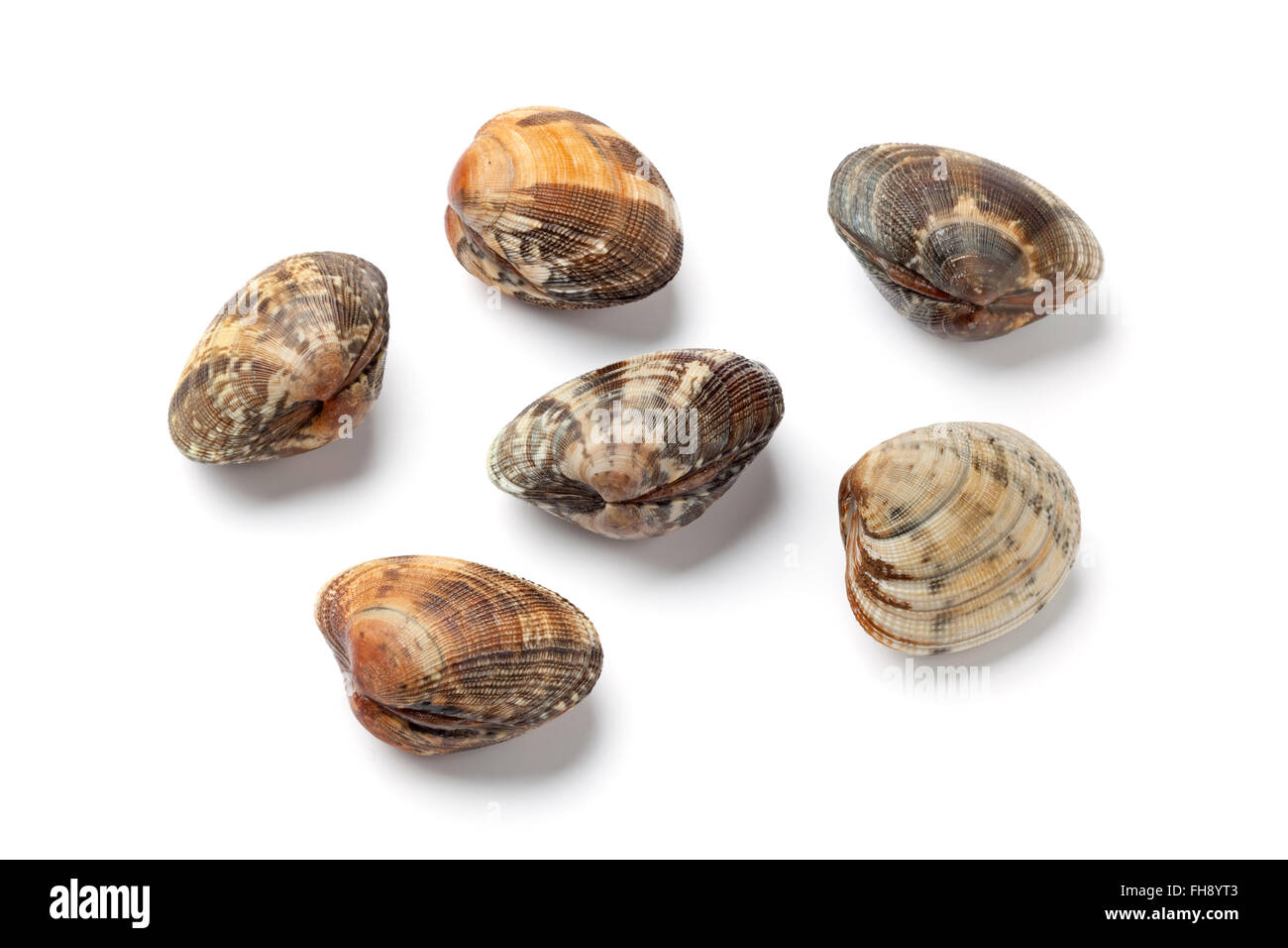 Fresh raw closed vongole veraci clams on white background Stock Photo ...