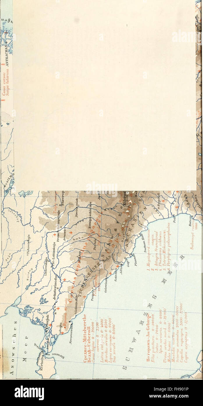 A 1899 catalog of the collections at the Caucasian Museum, detailing ...