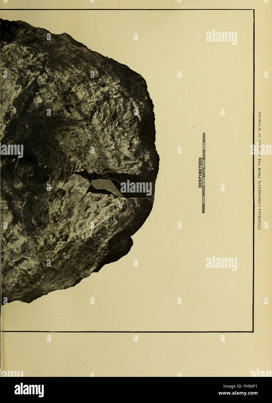 An annual report from 1898 documenting the geological research ...