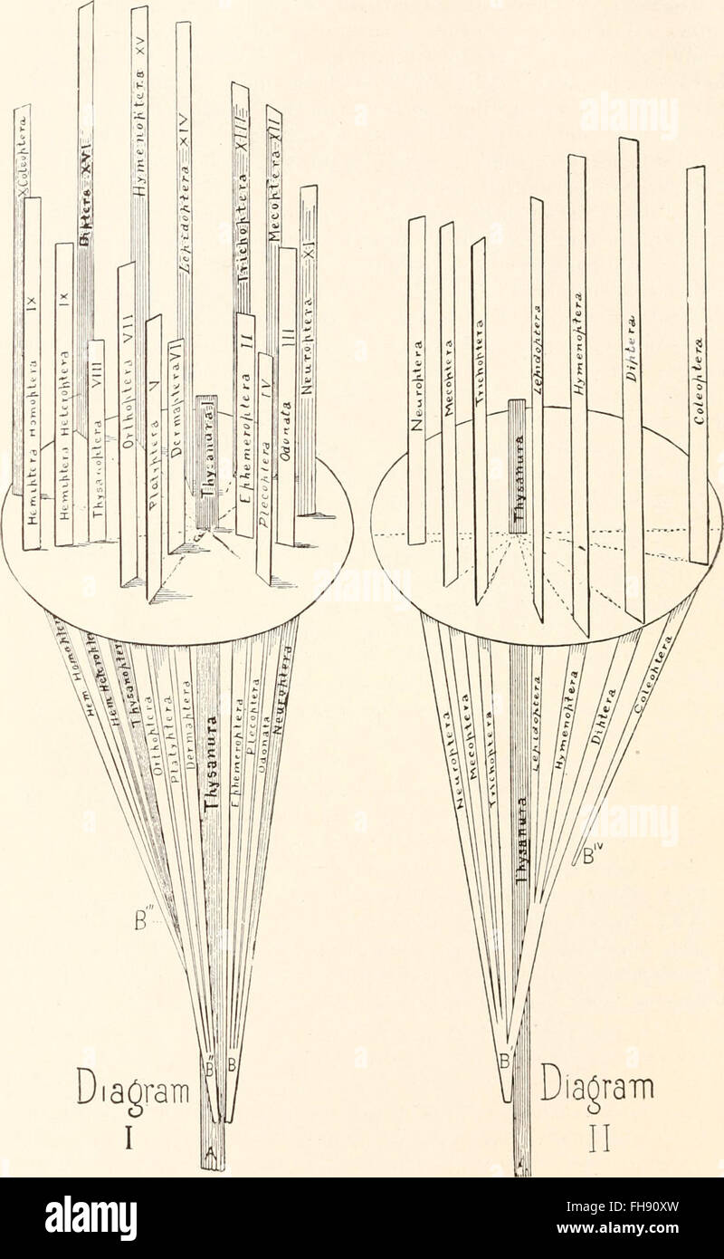 A 1892 guide on how to properly collect and preserve insects for ...
