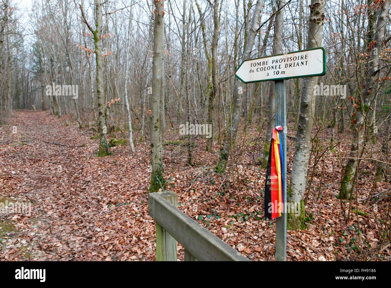 The temporary grave of Colonel Émile Driant in the forest of Caures ...