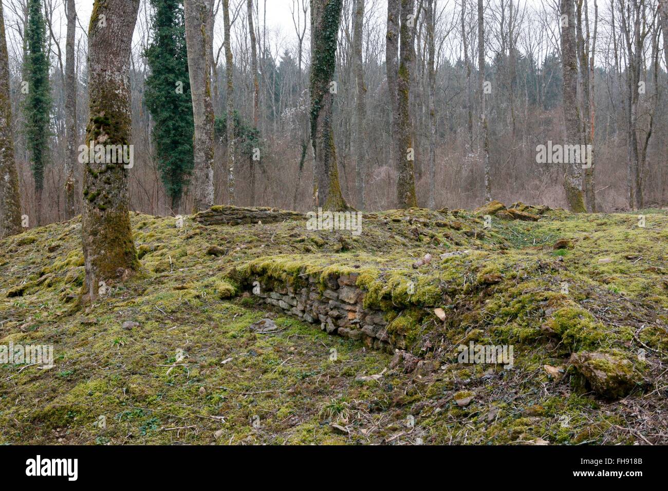 The destroyed village of Bezonvaux, which was completely destroyed ...