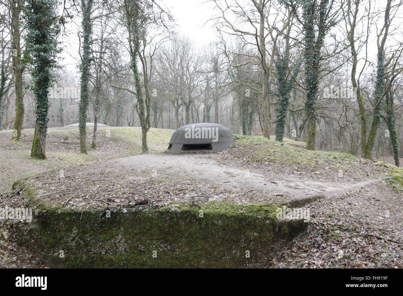 A bunker on the Fort Souville, battlefield of Verdun. March 2015 Stock ...