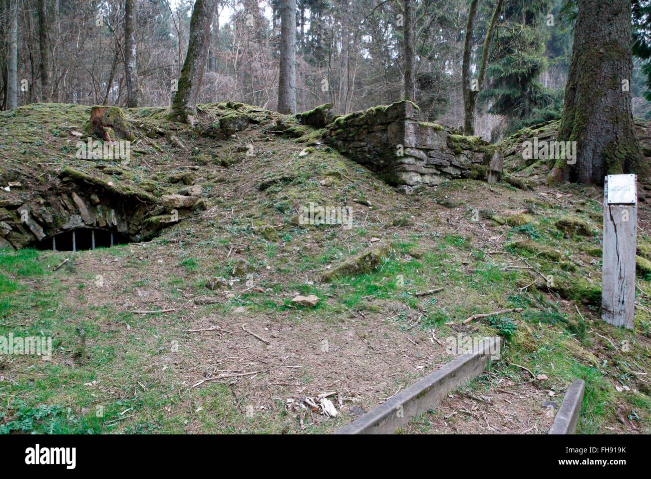 The destroyed village of Bezonvaux, which was completely destroyed ...