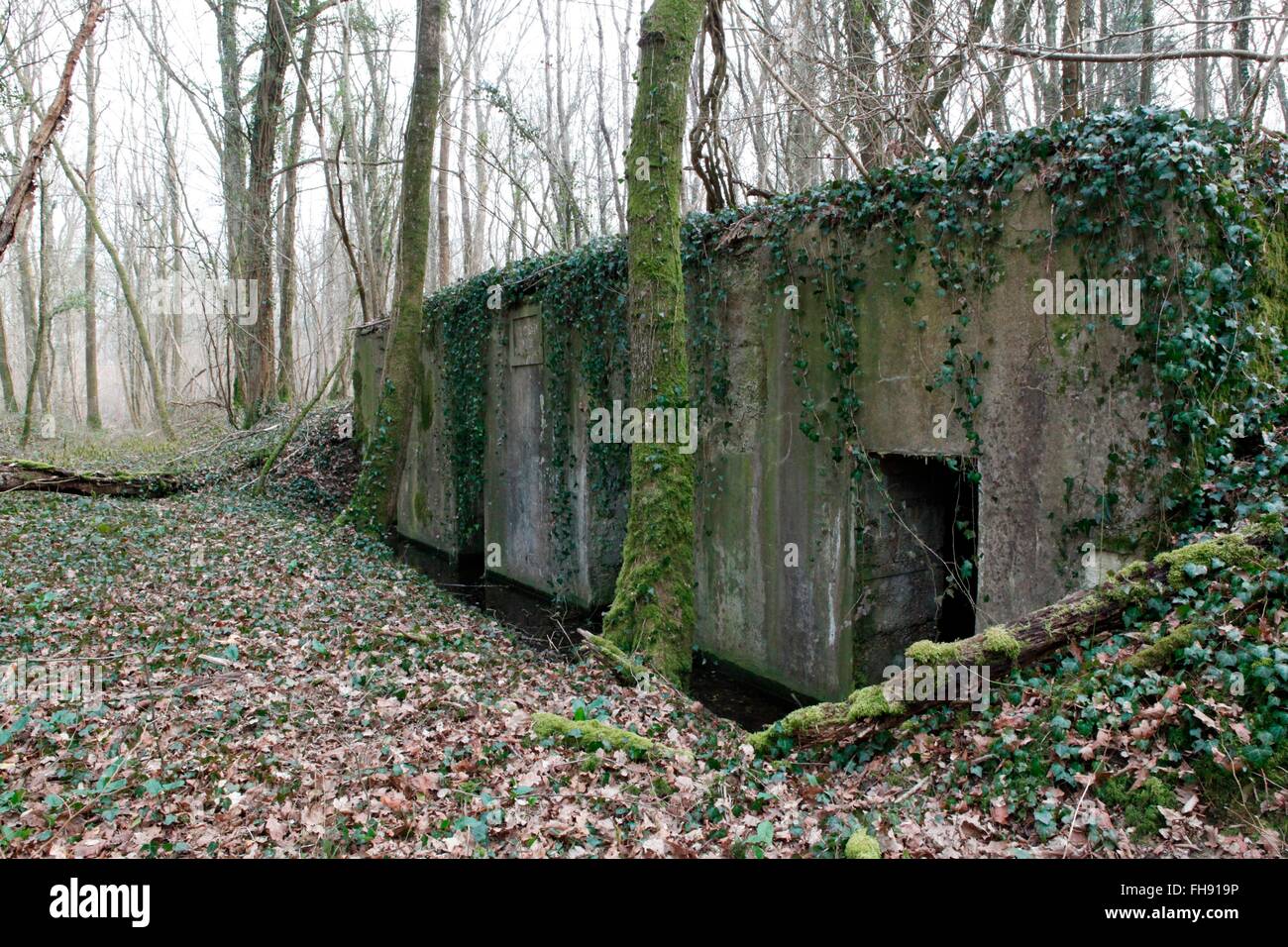 German Ww1 Bunker Verdun Die Schlacht Von Verdun: Ein Abenteuer In Der
