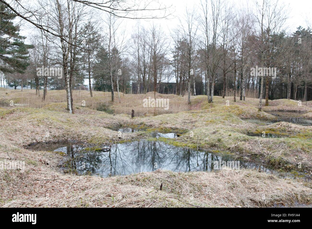 Shell-hole in Thiaumont, battlefield of Verdun. March 2015 Stock Photo ...
