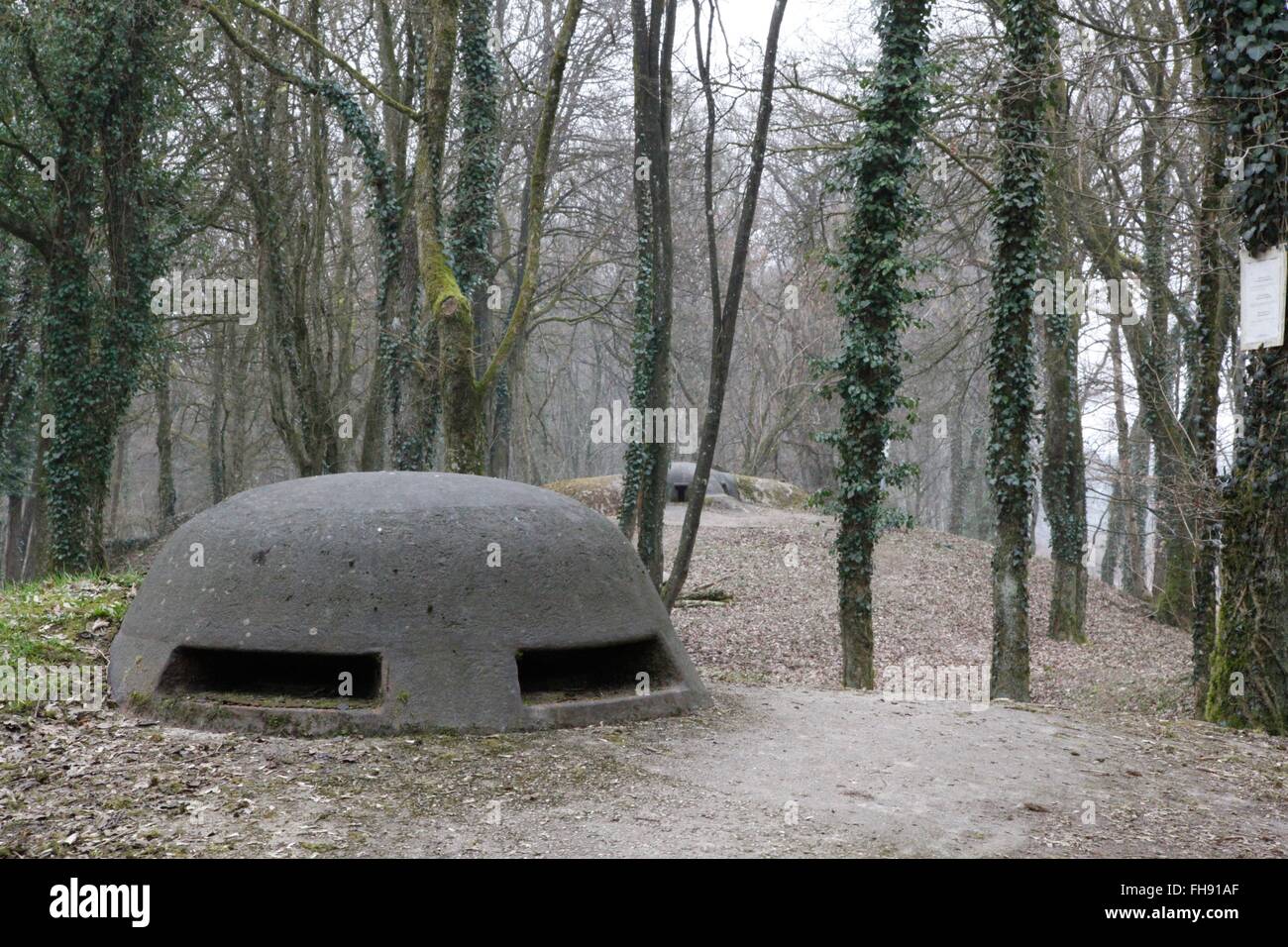 A bunker on the Fort Souville, battlefield of Verdun. March 2015 Stock ...