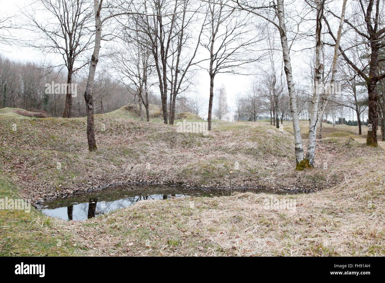Shell-hole, Intermediate plant of Thiaumont, battlefield of Verdun ...