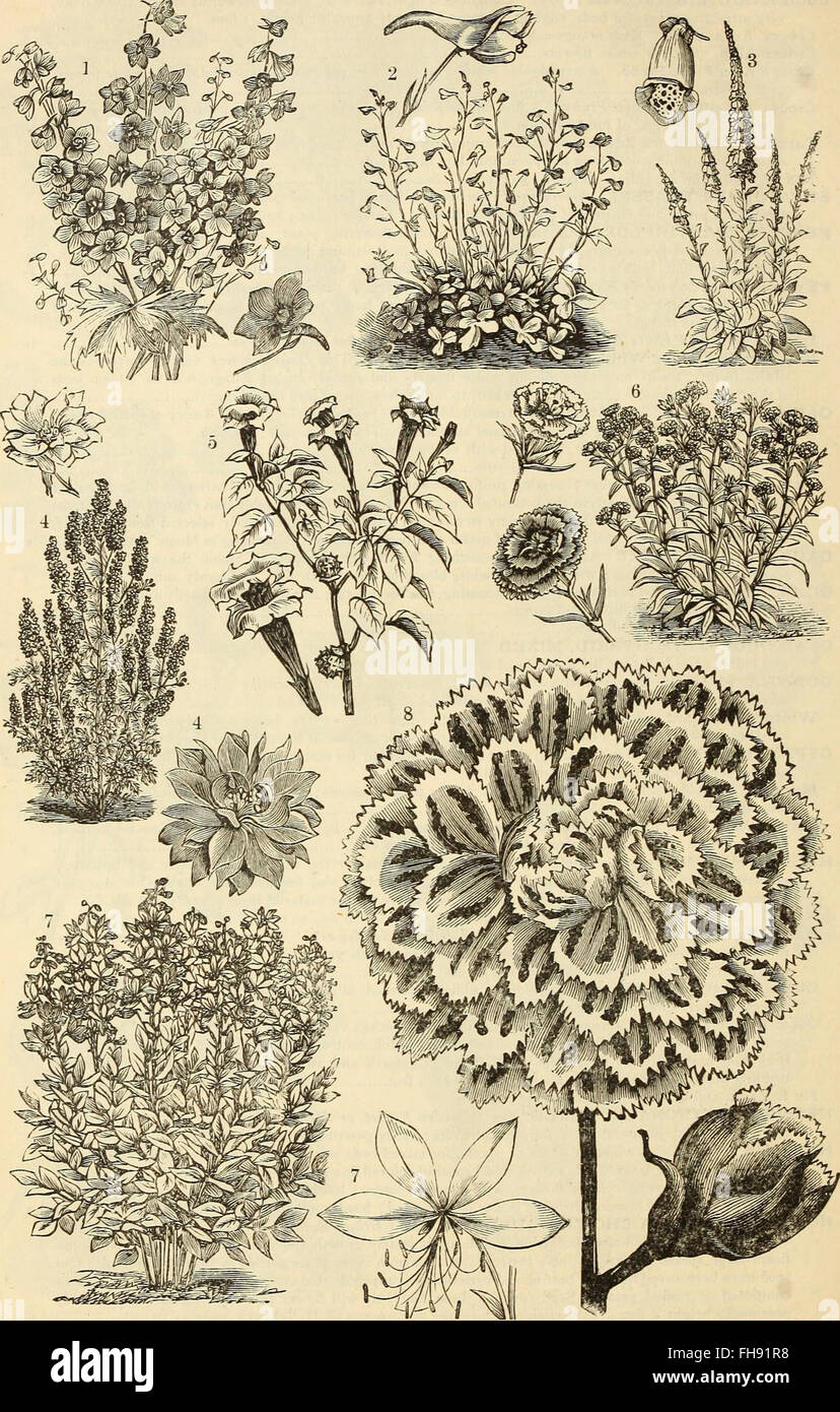 A historical garden calendar from Dreer's 1884 publication, offering ...