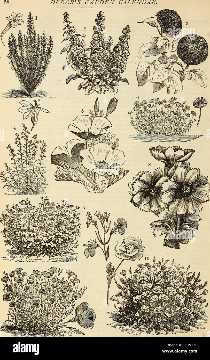 An 1884 edition of Dreer’s Garden Calendar, providing detailed planting ...