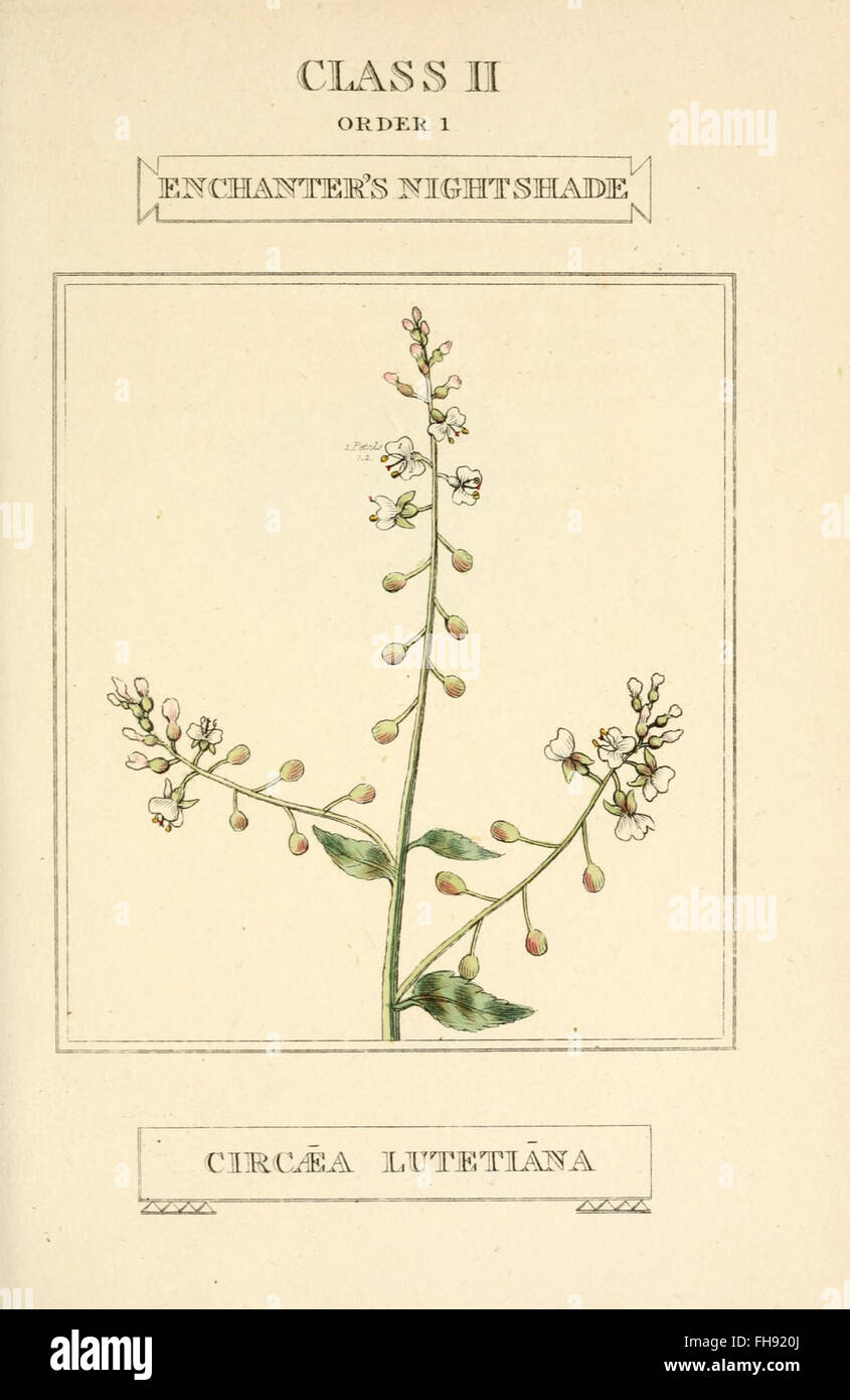 An Introduction To The Principles And Classification Of Botany Detailing The Basic Concepts Of