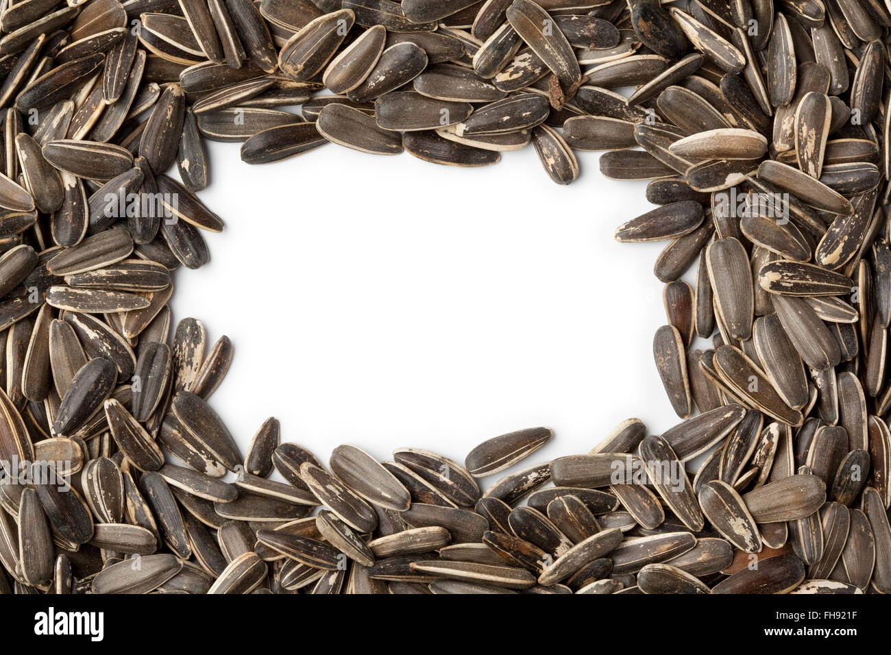 Frame of fresh sunflower seeds Stock Photo - Alamy