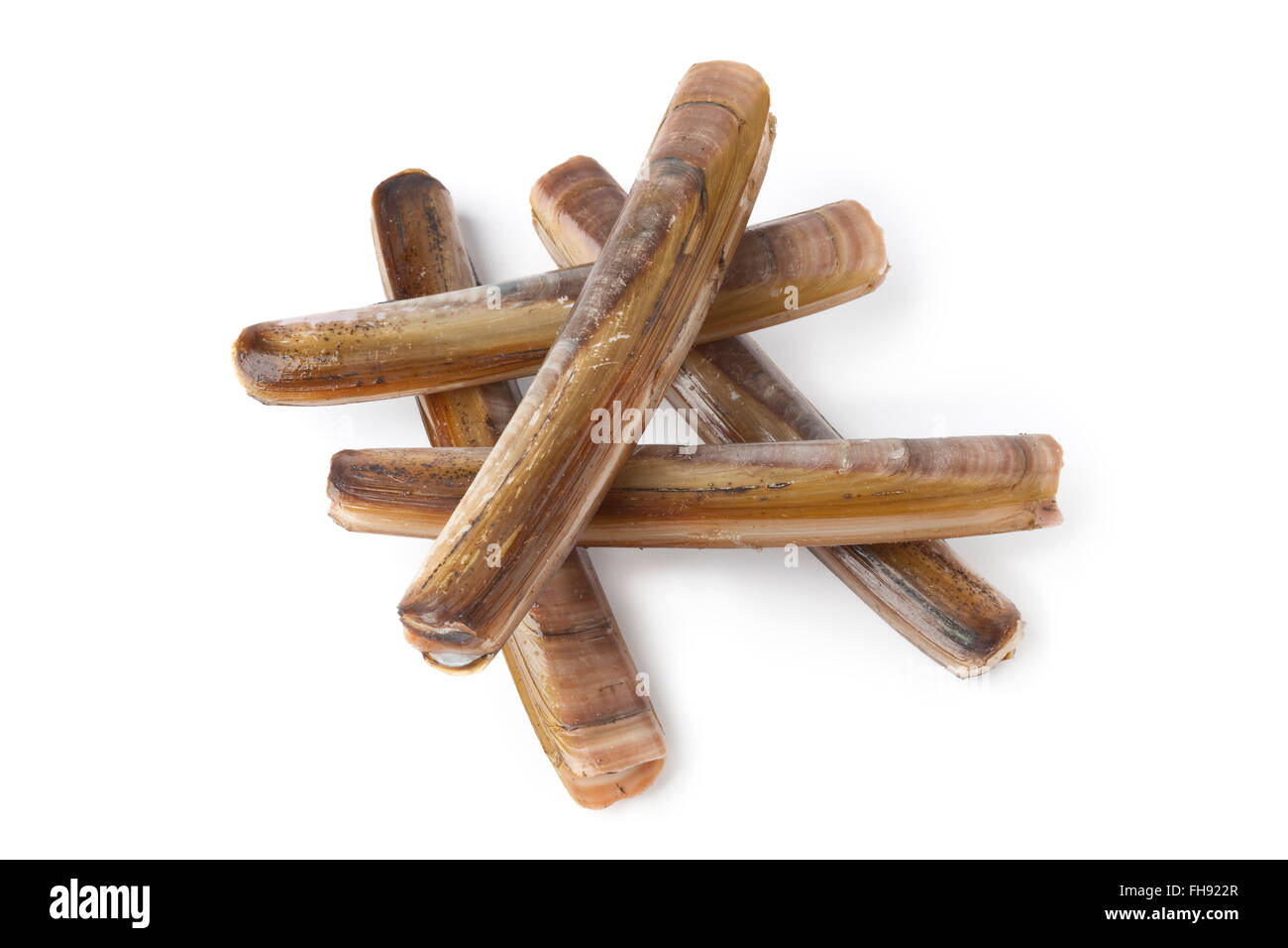 Whole fresh raw razor shells on white background Stock Photo - Alamy