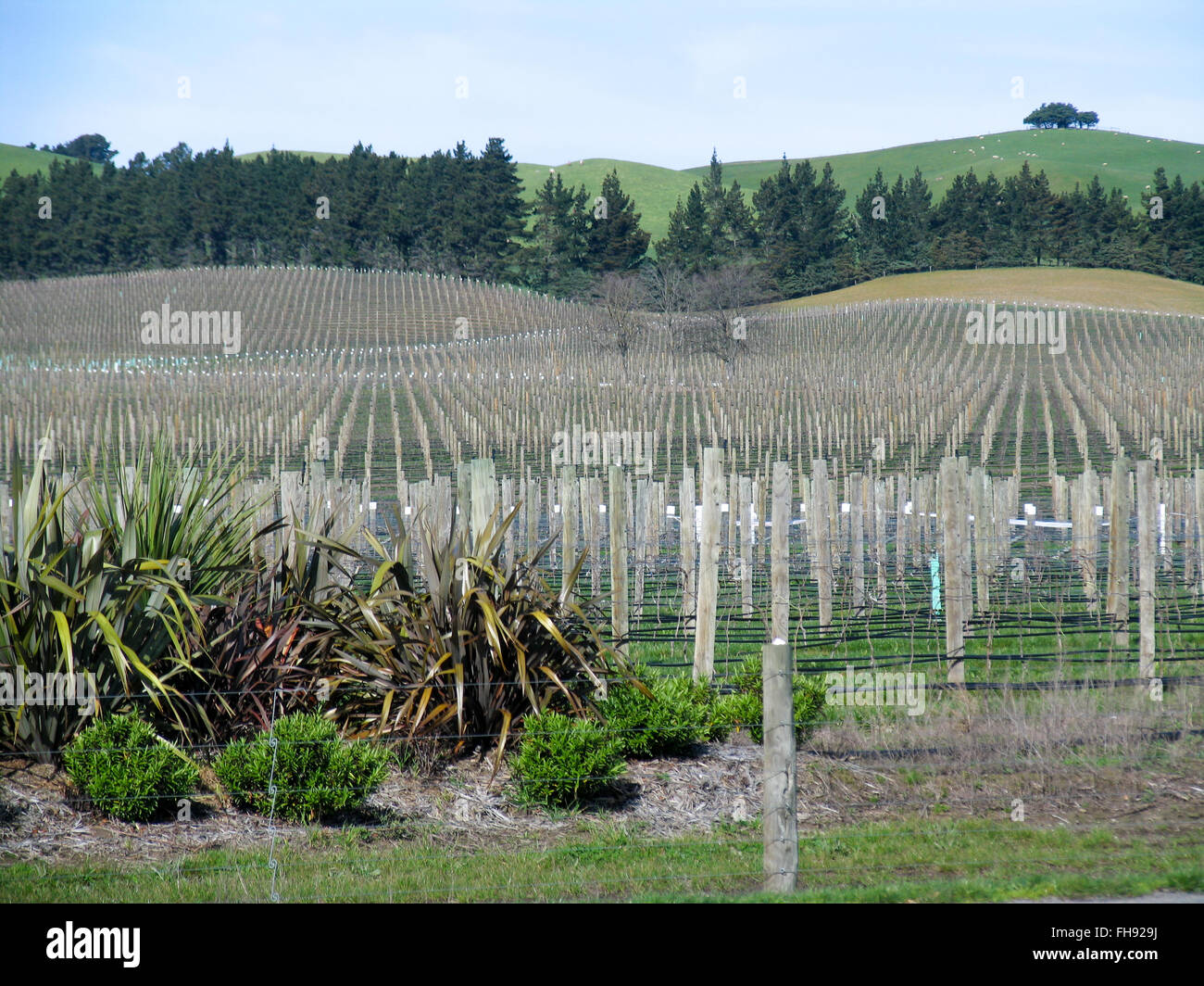 Wooden trellising hi-res stock photography and images - Alamy