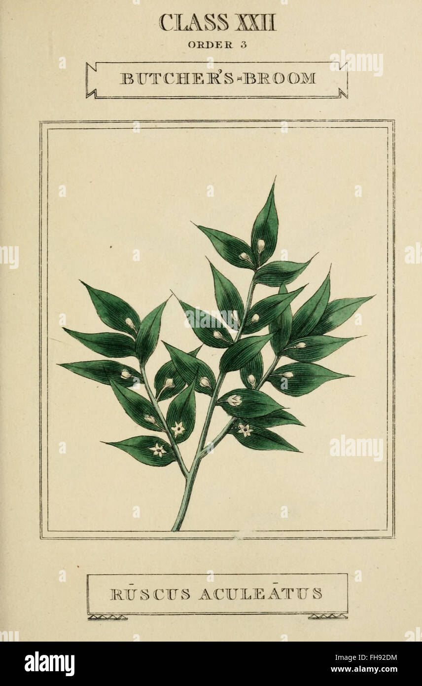 A comprehensive guide to the science of botany, focusing on plant ...