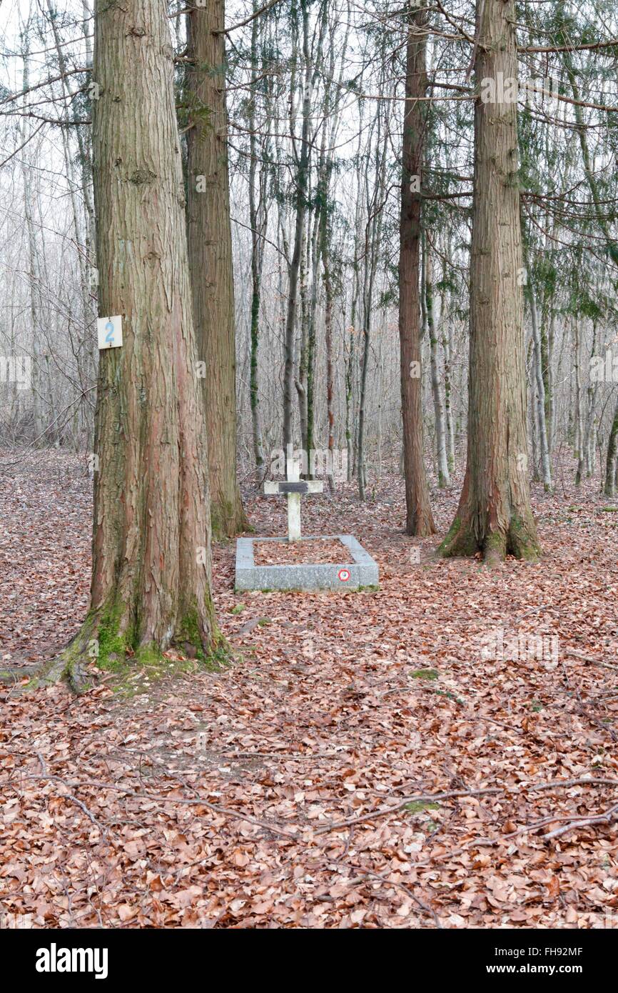 The temporary grave of Colonel Émile Driant in the forest of Caures ...