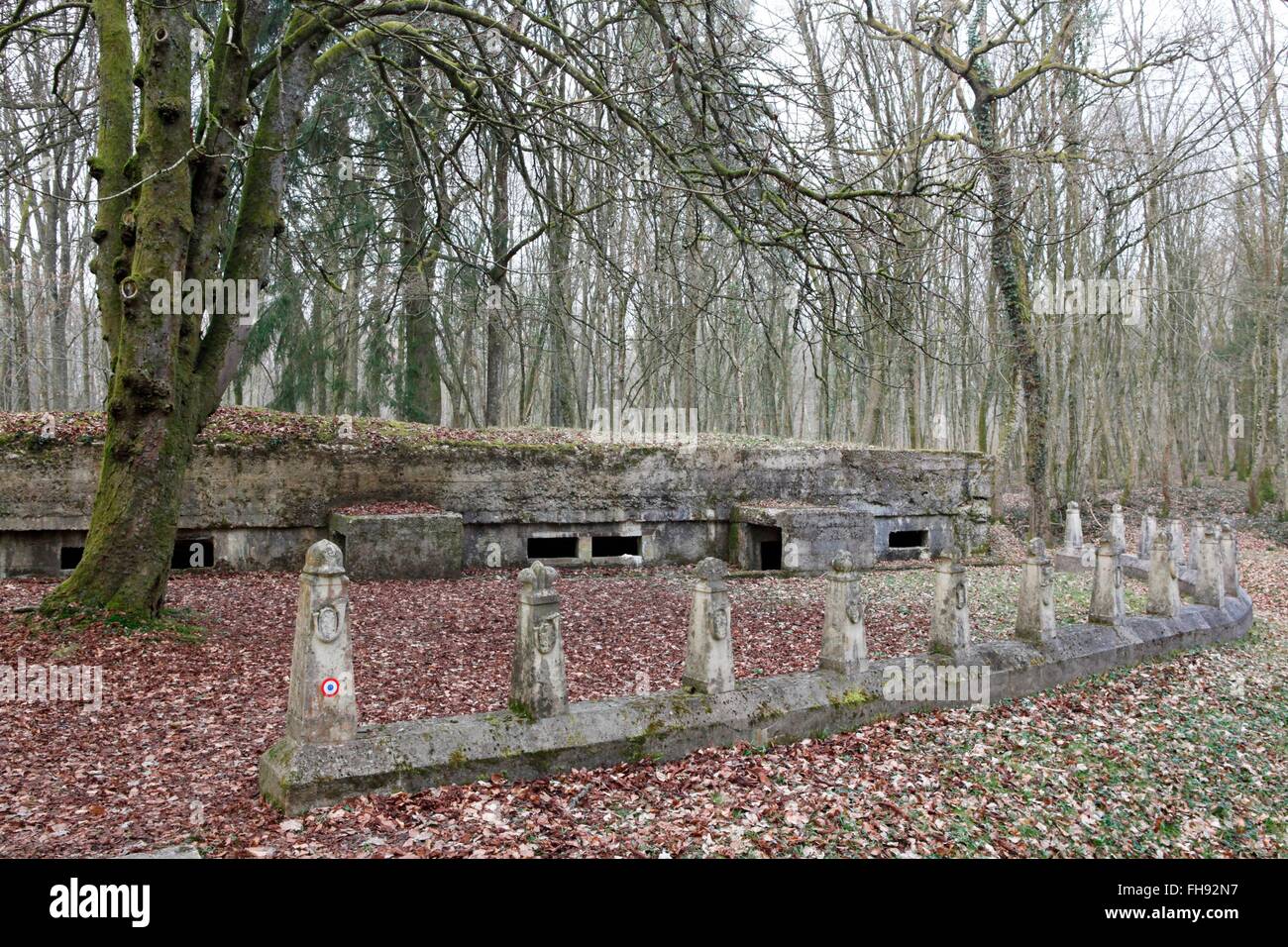 1916 verdun driant hi-res stock photography and images - Alamy