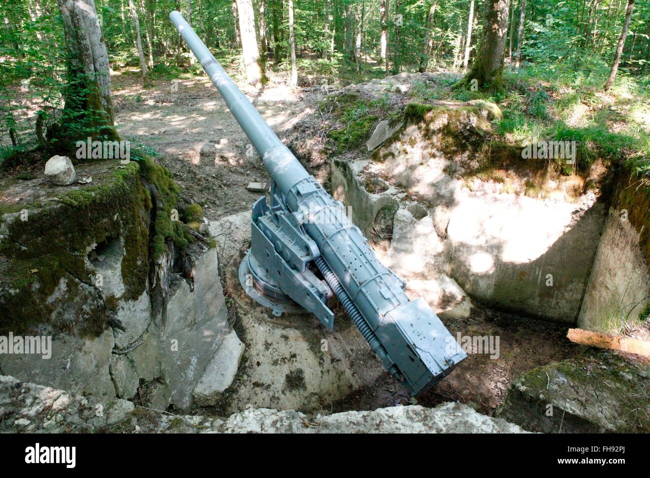 A marine Cannon, the Gun-Baroncourt, in the forest of Herméville ...