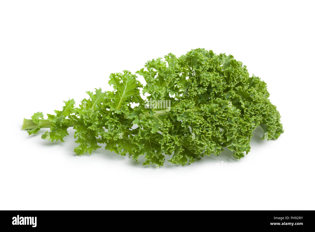 Kale leaf hi-res stock photography and images - Alamy