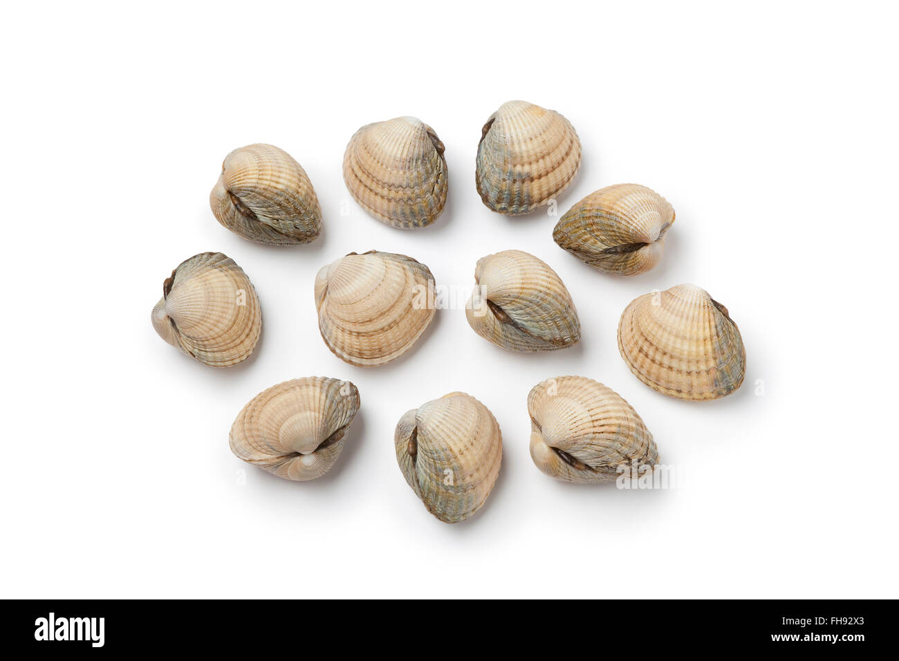 Fresh raw cockles on white background Stock Photo - Alamy