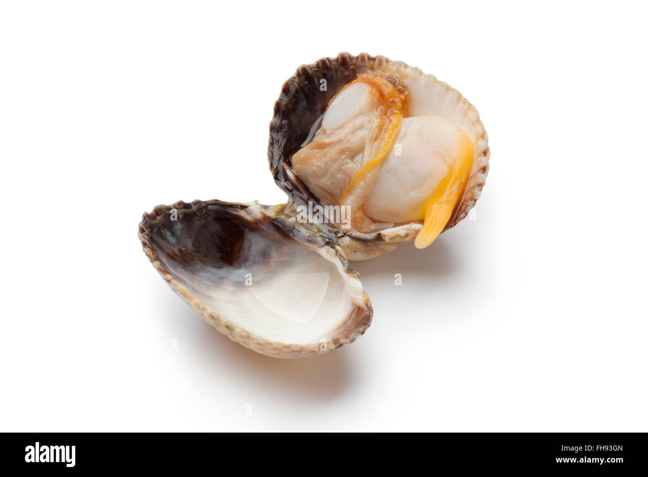 Cooked cockles hi-res stock photography and images - Alamy