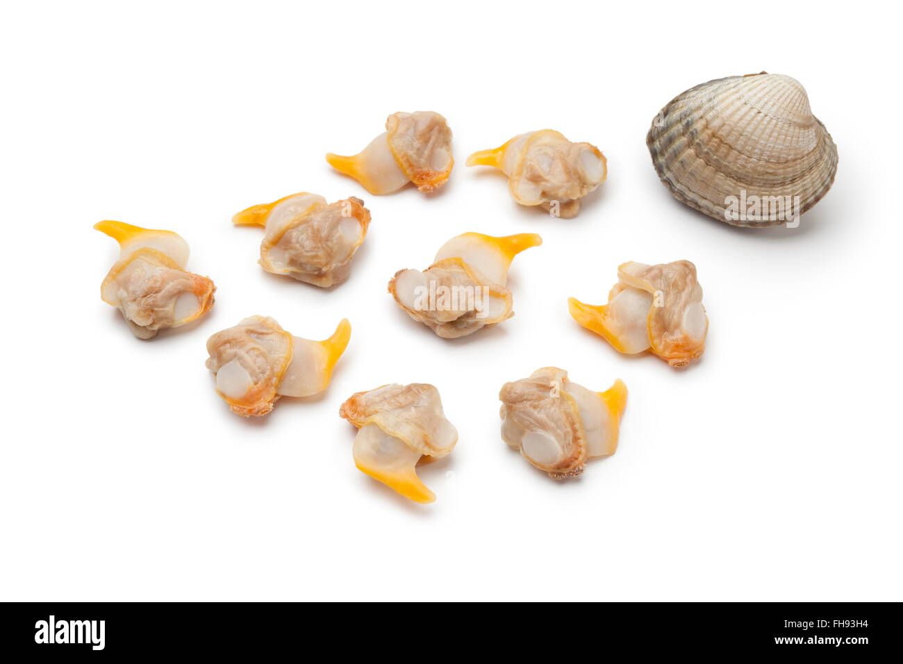 Fresh cooked cockles on white background Stock Photo - Alamy