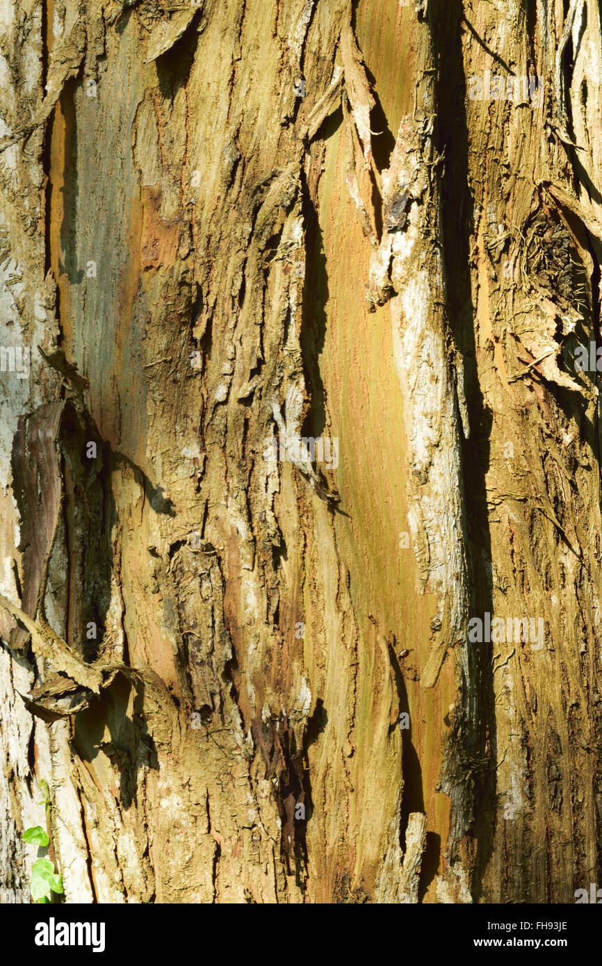 Abstract designs based on geological and other natural materials Stock ...