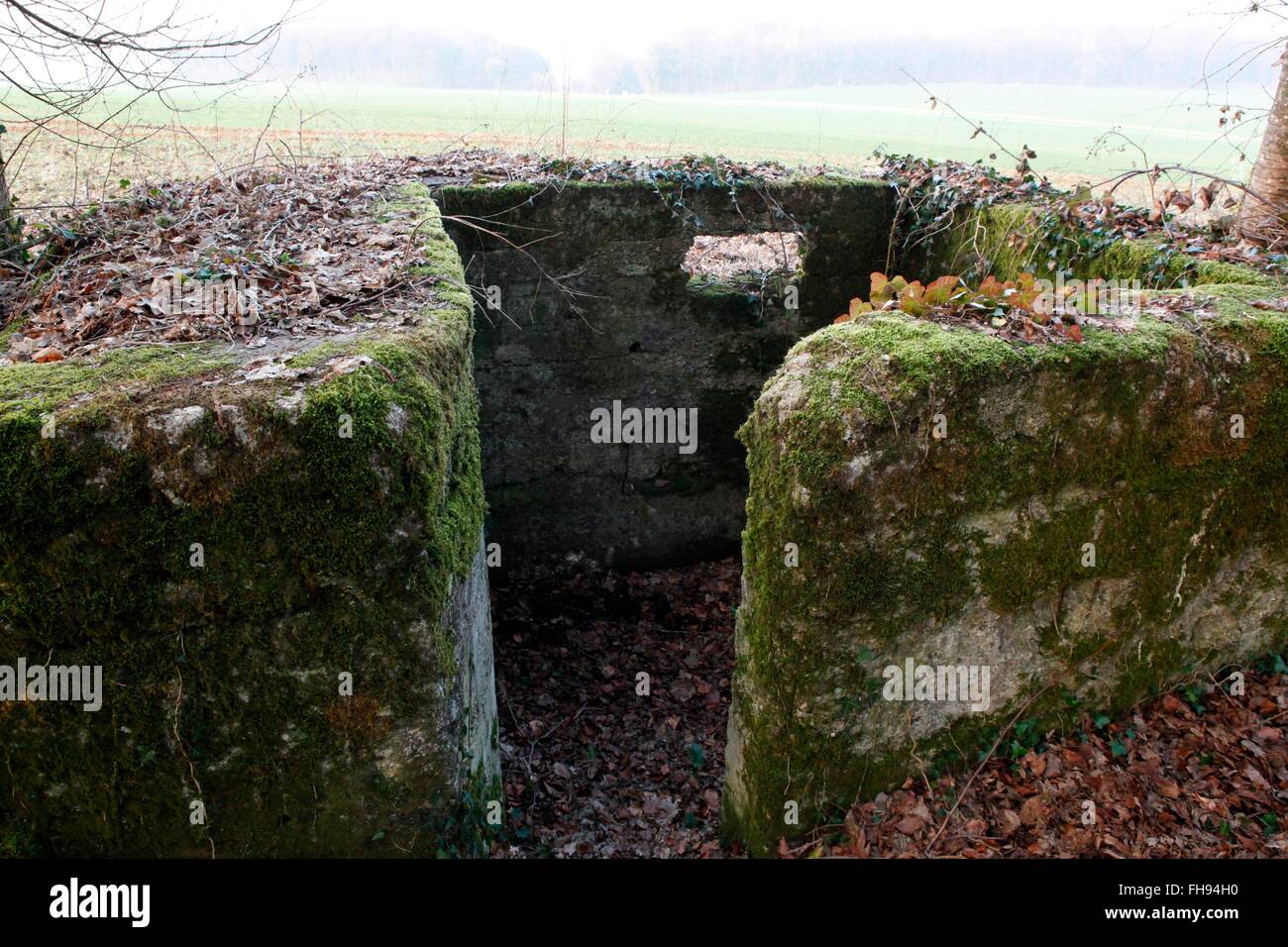 A French bunker in Caures Forest, battlefield of Verdun. March 2015 ...