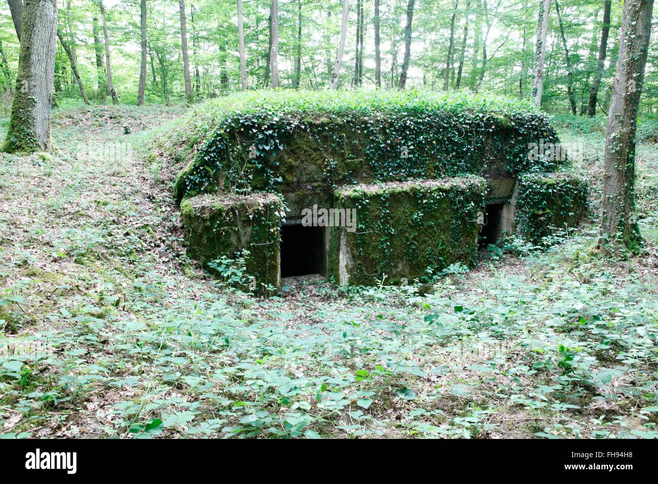 Bunker In The Forest High Resolution Stock Photography and Images - Alamy