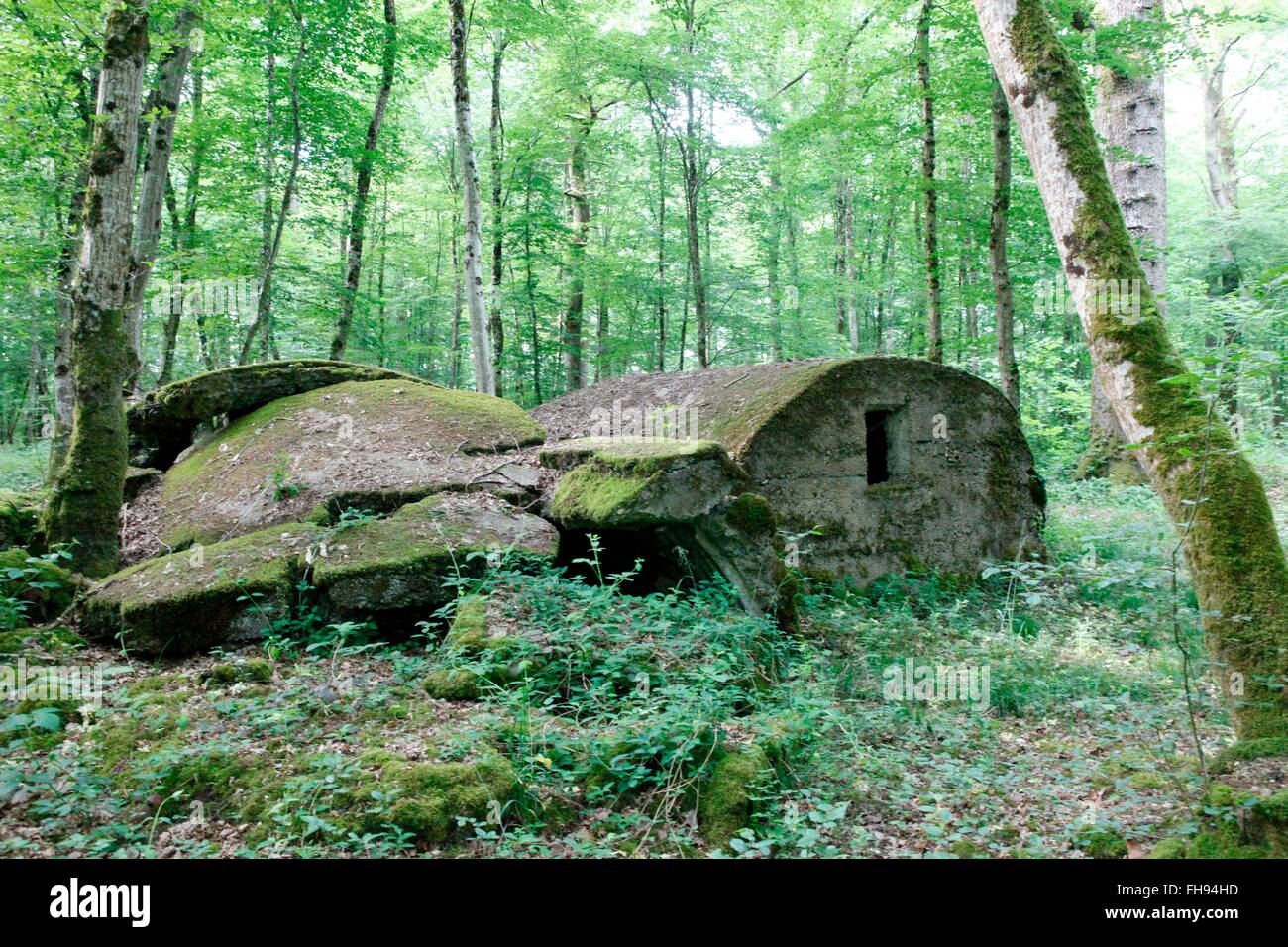Bunker In The Forest High Resolution Stock Photography and Images - Alamy