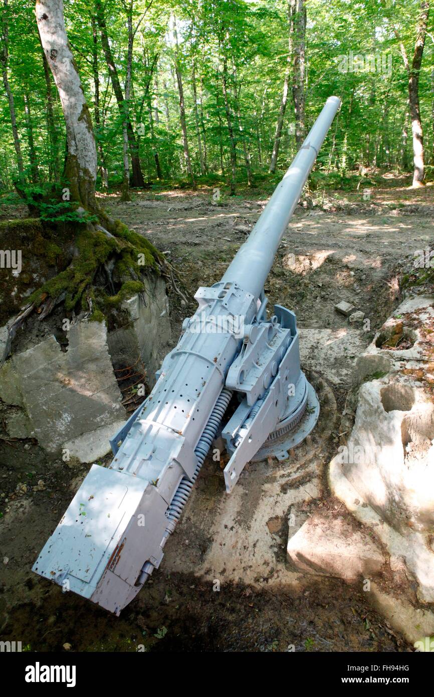 A marine Cannon, the Gun-Baroncourt, in the forest of Herméville ...