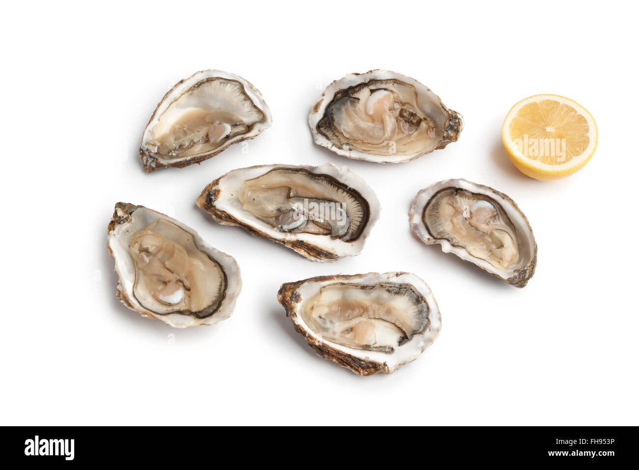 Fresh raw oysters in an open shell on white background Stock Photo - Alamy