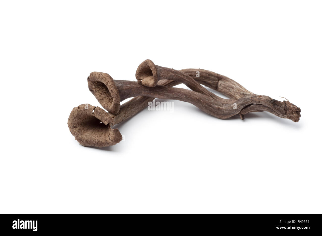 Whole fresh raw Trompette de la mort mushrooms isolated on white ...