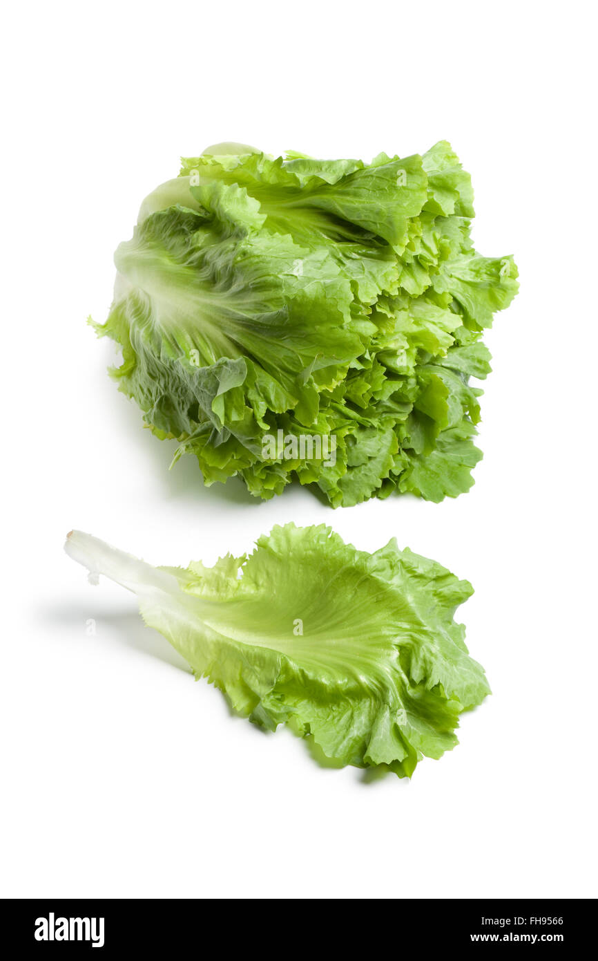 Endive leaves hi-res stock photography and images - Alamy